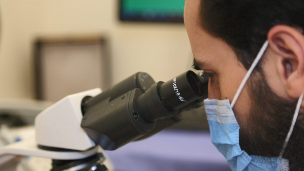 صور - Dr Amr Saeed